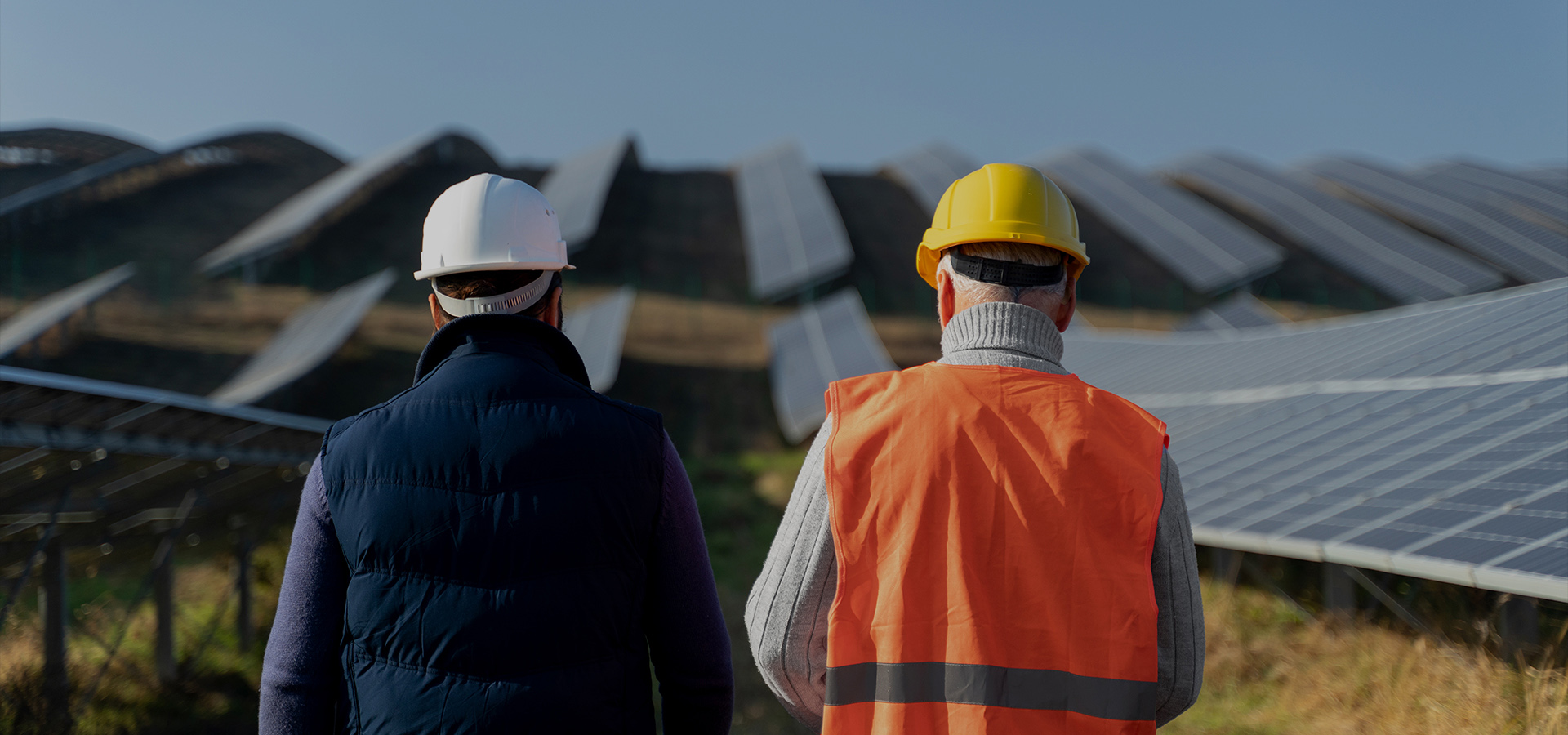 マネジメント_Bison Energy