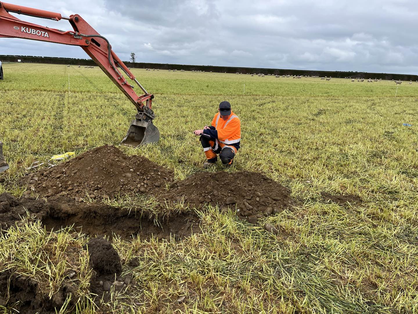 Projektaktualisierung: Bison Neuseeland beginnt mit Machbarkeitsstudien ...
