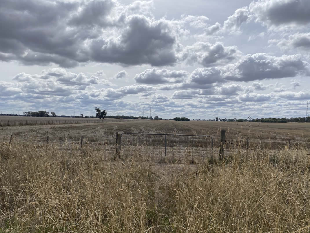 Entwicklung der 7,5 MW Cosgrove Solar Farm in NSW, Australien – DA ...