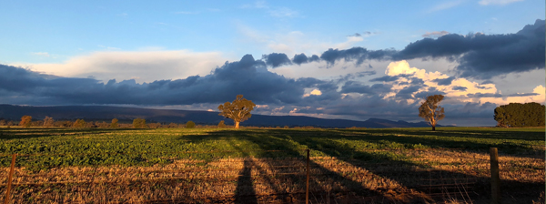 Solar Power Plant_Bison Energy
